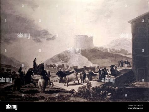 Apartado De Toros Goya Stock Photo Alamy