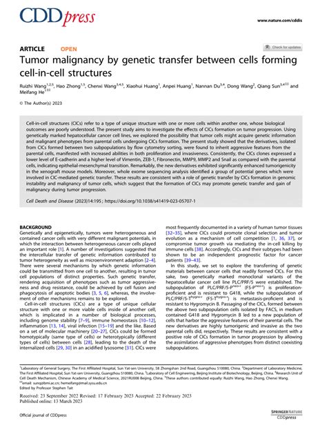 Pdf Tumor Malignancy By Genetic Transfer Between Cells Forming Cell In Cell Structures