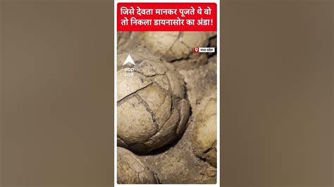जिसे देवता मानकर पूजते थे वो तो निकला डायनासोर का अंडा Abp Live Youtube