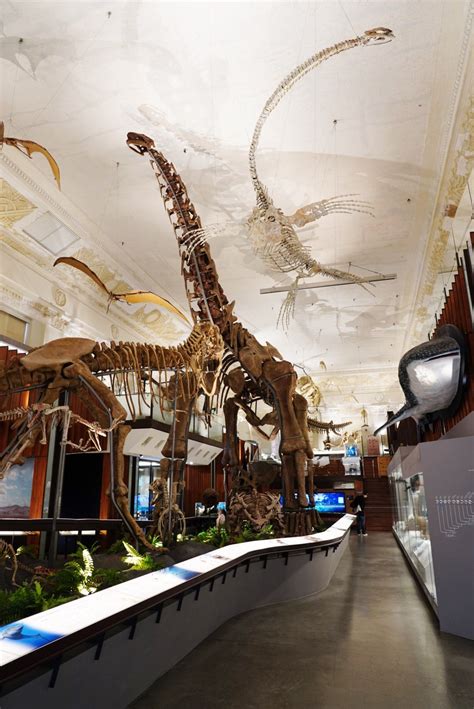 台灣博物館 土銀展示館 30元走進博物館驚魂夜體驗考古家超大金庫恐龍化石好逼真 艾瑪 吃喝玩樂札記