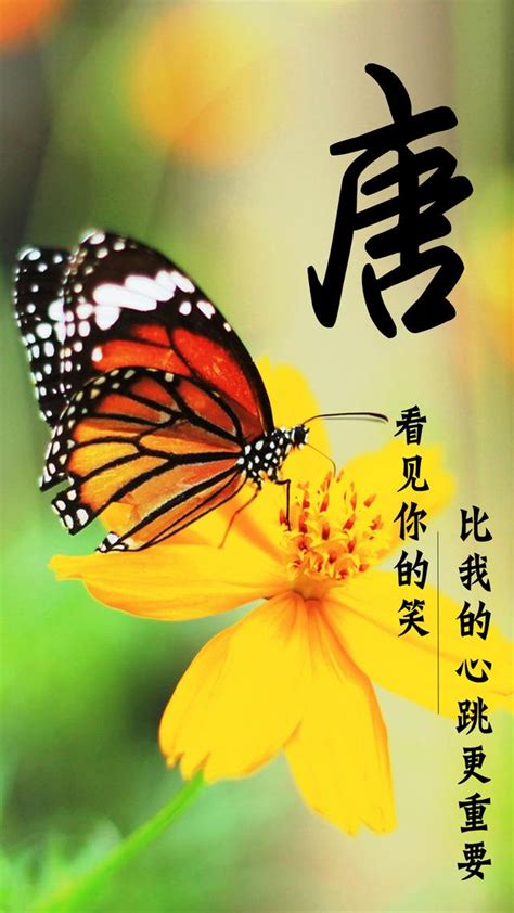 2017年中國人口最多的前300大姓附高清手機姓氏壁紙圖 每日頭條