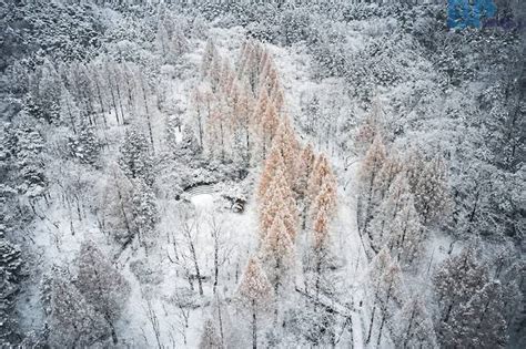 비밀로 하기 아까운 곳 겨울에 가야 가장 아름다운 핫플 2곳 여행탐구