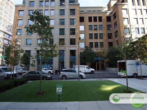 Artificial Grass For Office Buildings