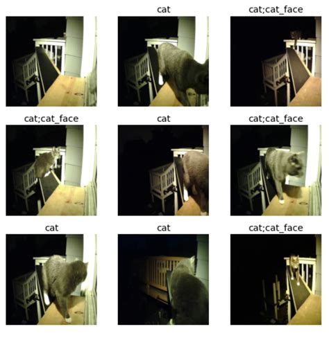 Why Is Fastai Creating Four Classes Multilabel When There Are Only Three Fastai Fast Ai