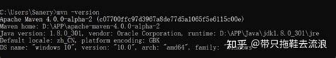 配置 Maven 并创建项目 Vscode 知乎