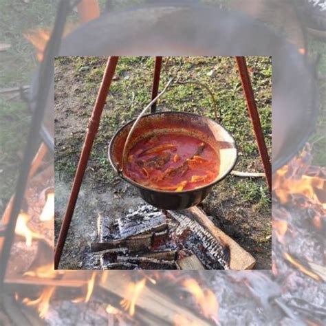 Najfiniji Fiš Paprikaš U Kotliću I Tronošcu Na Otvorenoj Vatri Shopbox Hr
