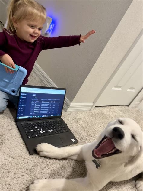 Tyler Peacock On Linkedin Greymatter