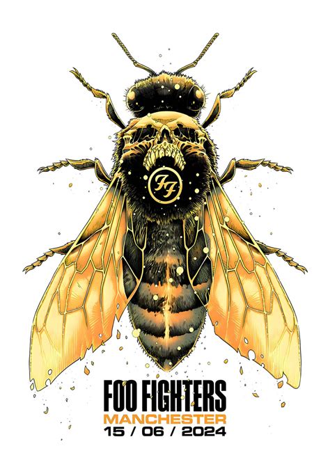 Foo Fighters Posters World Tour Concert Posters Album Prints