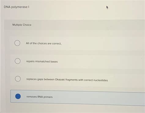 Solved DNA Polymerase IMultiple ChoiceAll Of The Choices Are Chegg