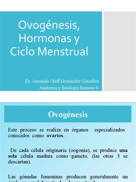 Ovogénesis Hormonas Y Ciclo Menstrual Pdf