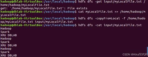 【hadoop】【大数据技术基础】实验二 Hdfs Shell操作实验hdfs Shell实验 Csdn博客