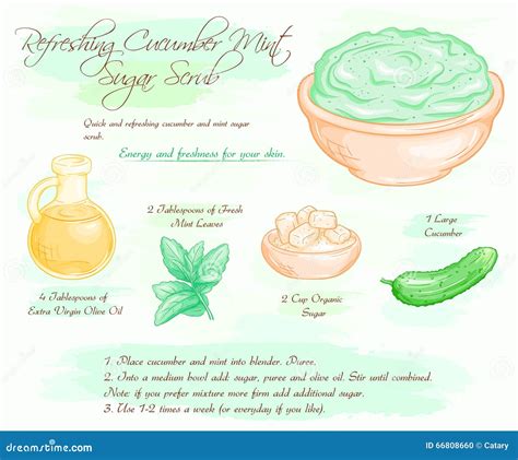 Vector Hand Drawn Illustration Of Mint Cucumber Refreshing Sugar Scrub
