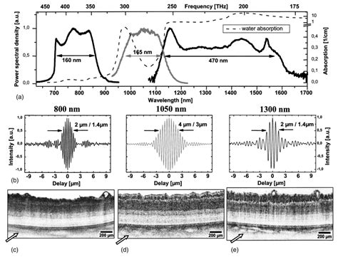 Ultrahigh Resolution Optical Coherence Tomography