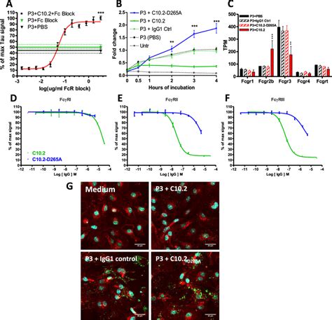 Antibody Dependent Lowering Of Tau Requires Fcγr Interaction A Download Scientific Diagram
