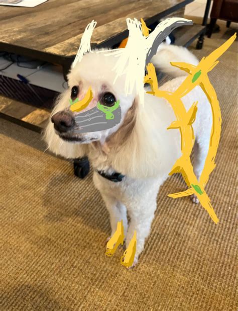Mythical Pokemon Goofy I Love Him Legends Puppies Memes Random