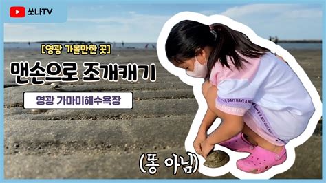 맨손으로 조개잡기 영광 아이와함께 가볼만한 곳 가마미해수욕장 Youtube