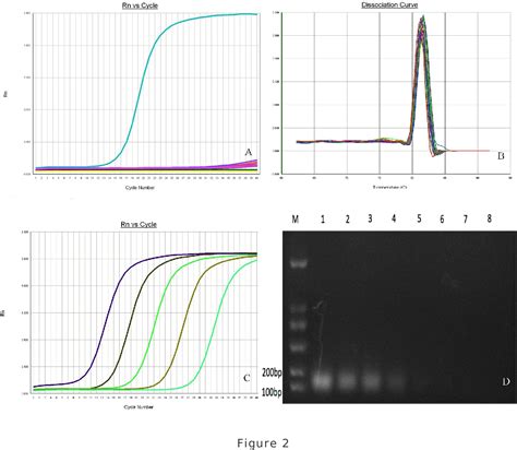 Figure 2 From Development And Evaluation Of A Sybr Green I Rt Qpcr