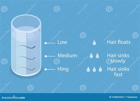 3d Isometric Flat Vector Illustration Of Hair Porosity Test Stock