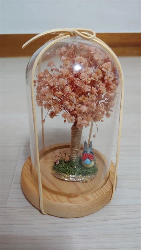 드라이플라워 유리돔 무드등 당근 중고거래