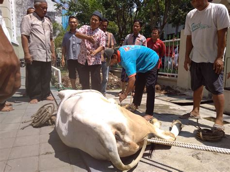 Takmir Masjid Dilatih Menyembelih Hewan Kurban Wartabahari