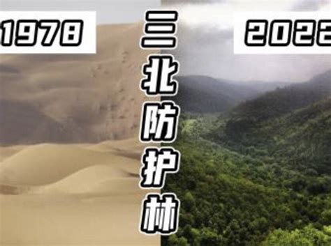 三北防护林不行，还是蒙古的风沙太猛？沙尘暴我国高空