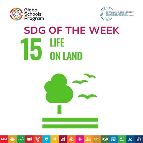 Global 🌱 Sdg Of The Week Sdg 15 Life On Land Sdg 15 Focuses On Protecting Forests