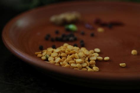 Koṉṟaipoo Chammanthi Pâticheri