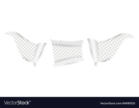 canvas of torn paper with curves gaps and white vector image