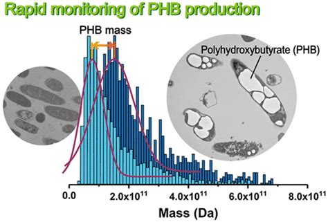 Analytical Chemistry Vol 94 No 34 Acs Publications