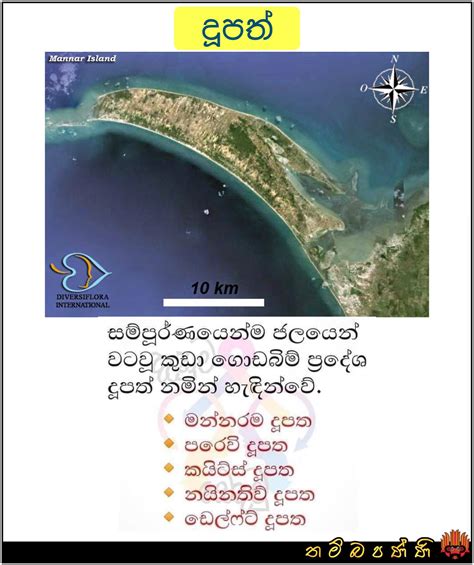 තම්බපණ්ණි භූ විෂමතා ලක්ෂණ උදාහරණ සහිතව 😮 ️📖📚 🔸තුඩුව