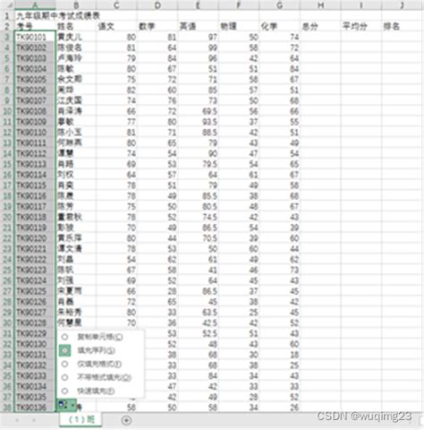 自动填充数据考号自动填充 Csdn博客