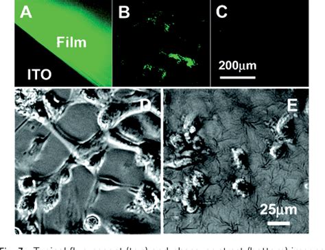 Figure 3 From Electrically Conductive Polymers And Composites For