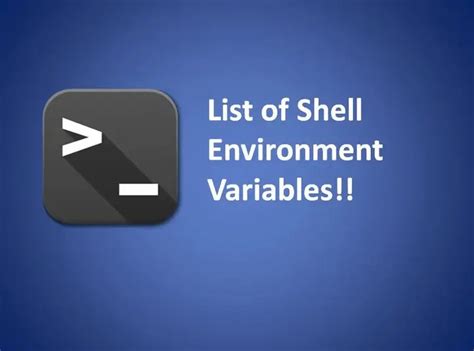 执行linux命令时，传入环境变量参数 知乎