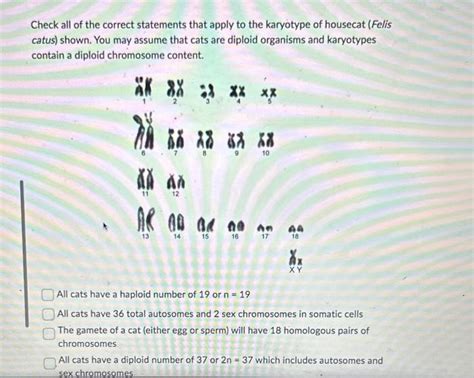 Solved Check All Of The Correct Statements That Apply To The