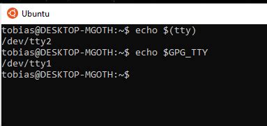 Tty Returning Wrong TTY Microsoft WSL Discussion GitHub