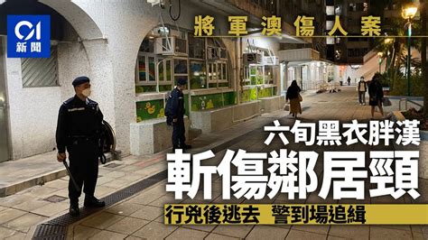 將軍澳翠林邨男子遭鄰居斬傷 黑衣男兇徒仍在逃 警到場搜索｜01新聞｜突發｜追緝｜將軍澳 Youtube