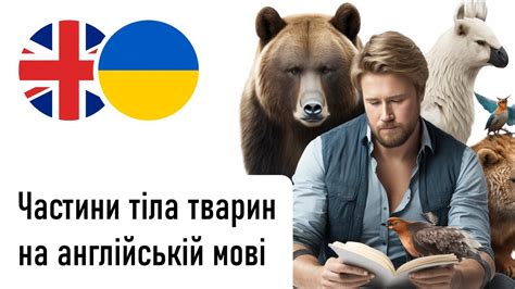 Частини тіла тварин на англійській мові Чоловічий голос Youtube