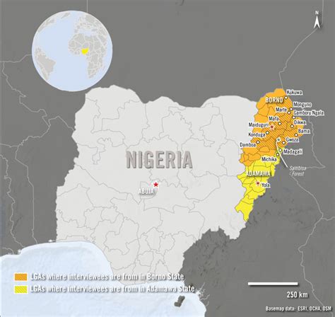 Nigeria Girls Failed By Authorities After Escaping Boko Haram Captivity