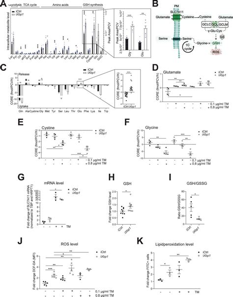Gsh Gssg Glo Tm Assay Kit Promega Bioz