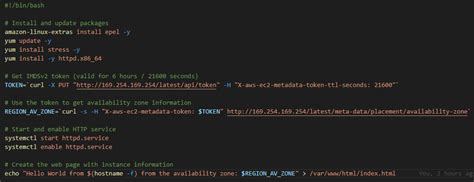 Create A Web Server On Amazon Ec2 Instance Using Terraform And User