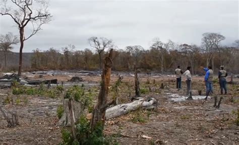Abi Prohíben Las Quemas En Santa Cruz Procesos Penales Por Incendios