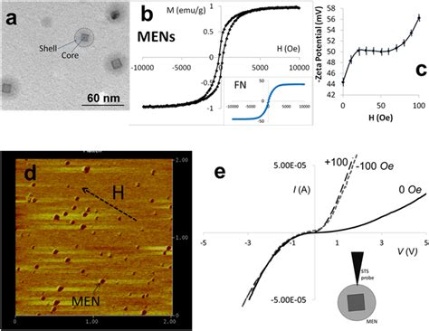 Mens Physical Properties A Transmission Electron Microscopy Tem