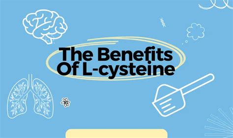 What Are L Cysteine Benefits