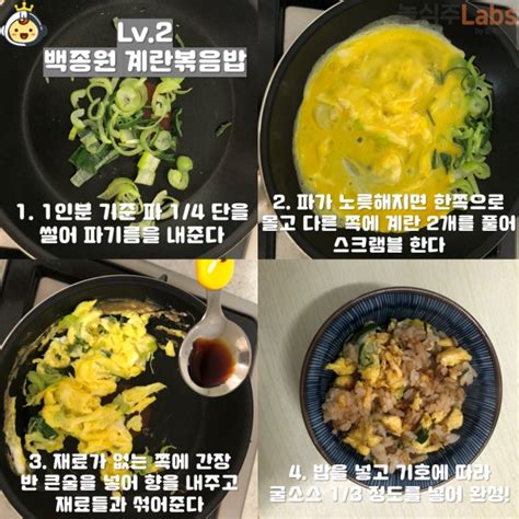 자취요리 자취생 필수 음식재료 계란 레벨별 요리 데일리팝