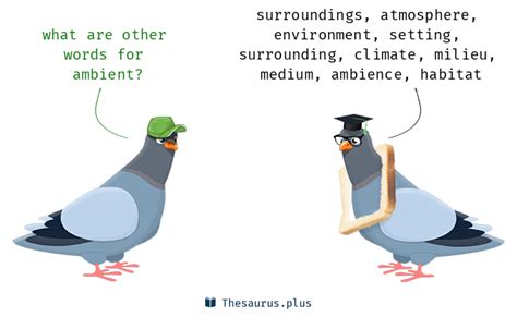 More 140 Ambient Synonyms Similar Words For Ambient