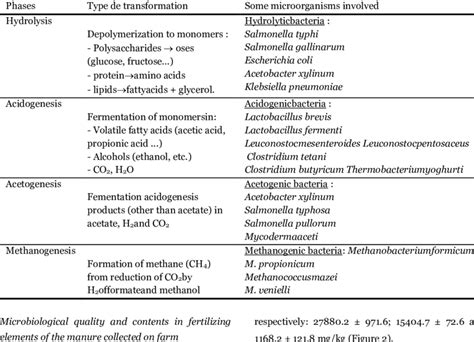 Synthesis Of The Methanogenesis Process Mozambe 2002 Download