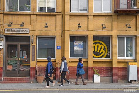 브라운핸즈 개항로