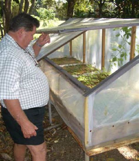 No Tech Poly Propagator Download Scientific Diagram