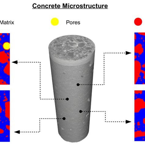 Concrete Real Specimen With Different Microstructures The Download Scientific Diagram