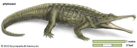 Phytosaur Alchetron The Free Social Encyclopedia